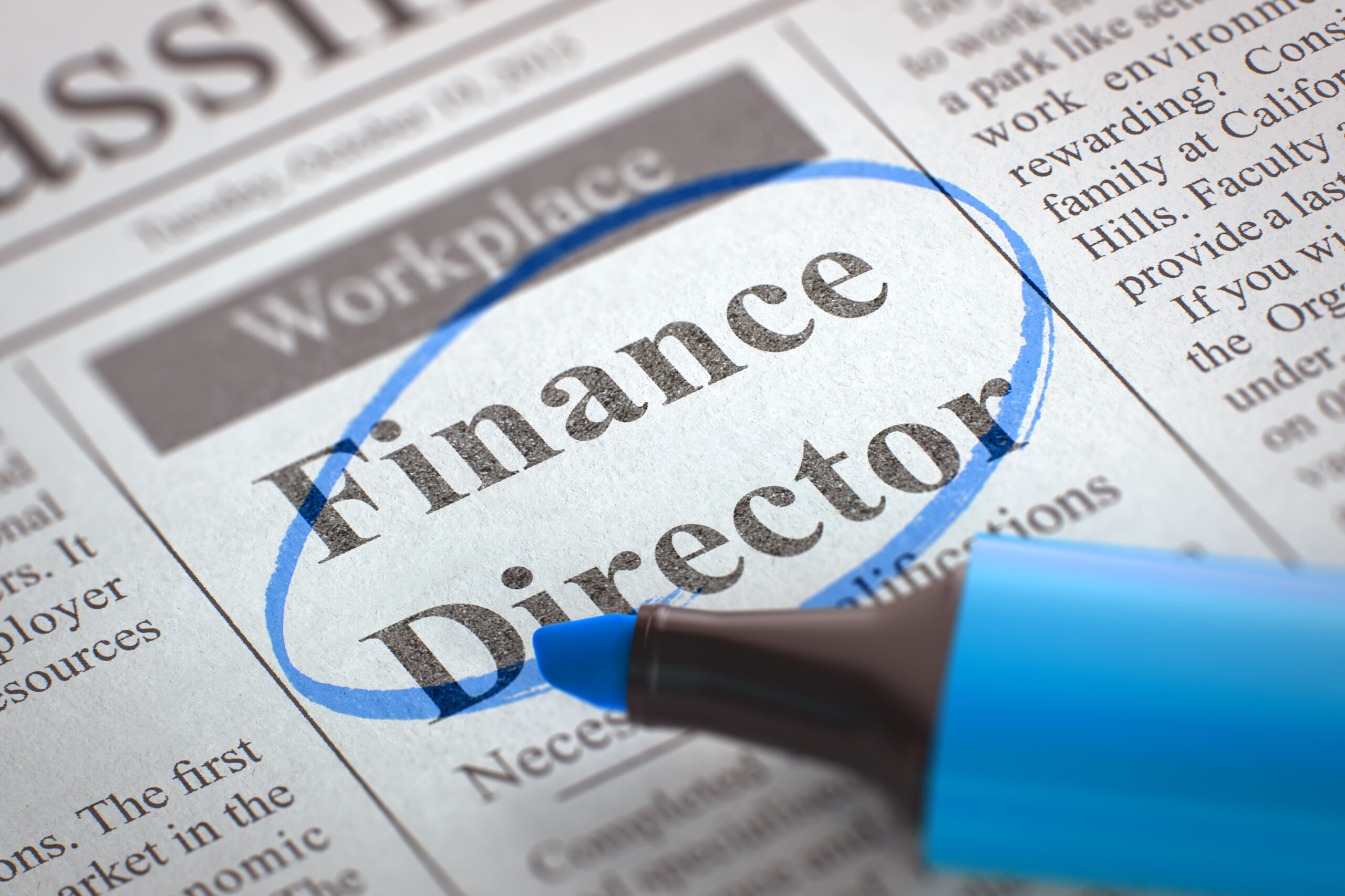 So you think you don't need a finance director (FD) in your company?