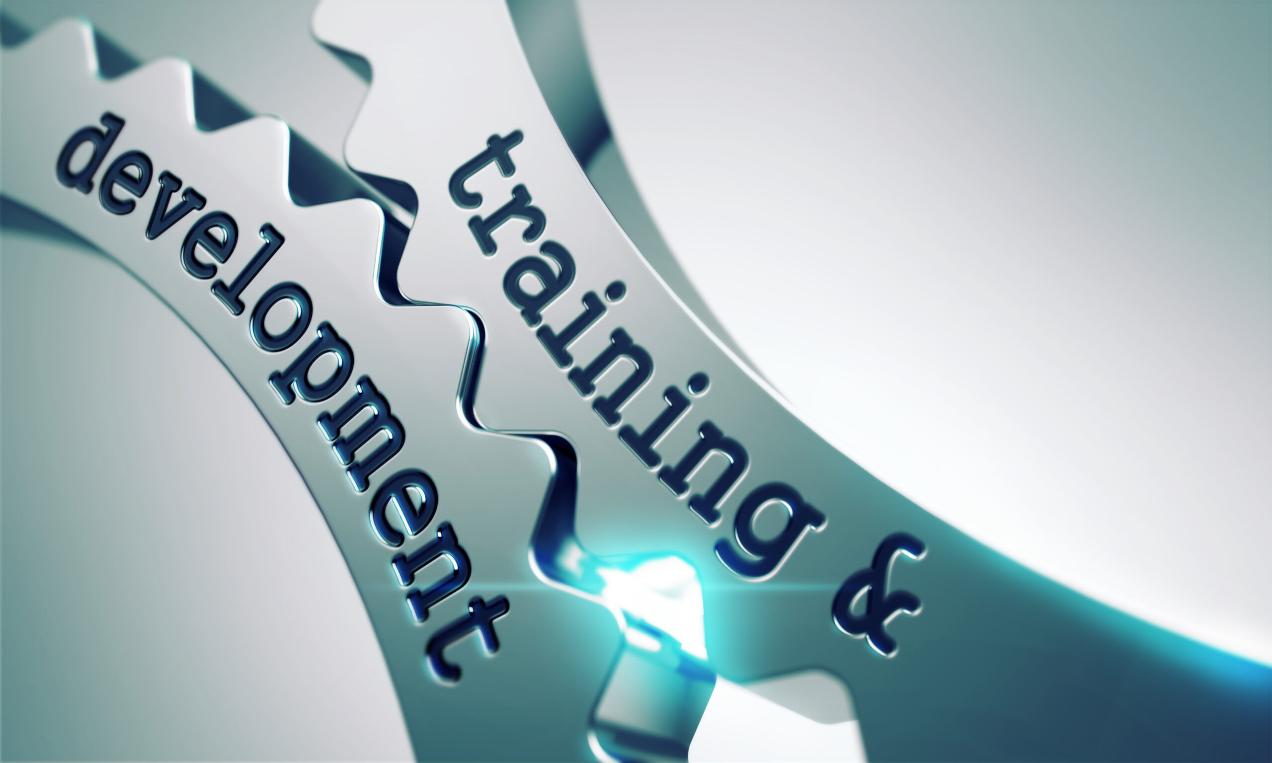 Guide to induction and training - Small Business UK