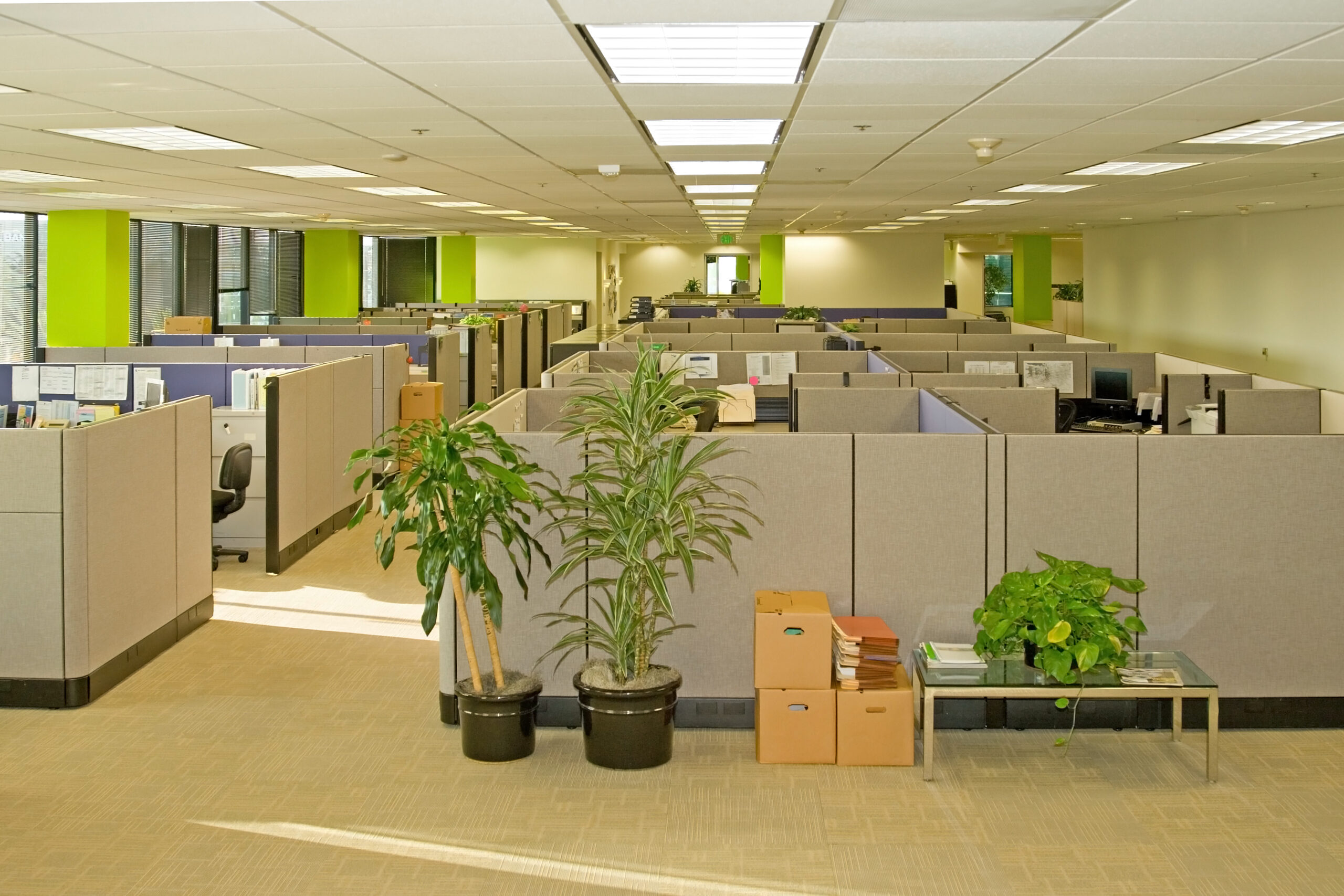 Colour zones ‘key to boosting performance at work’, say experts